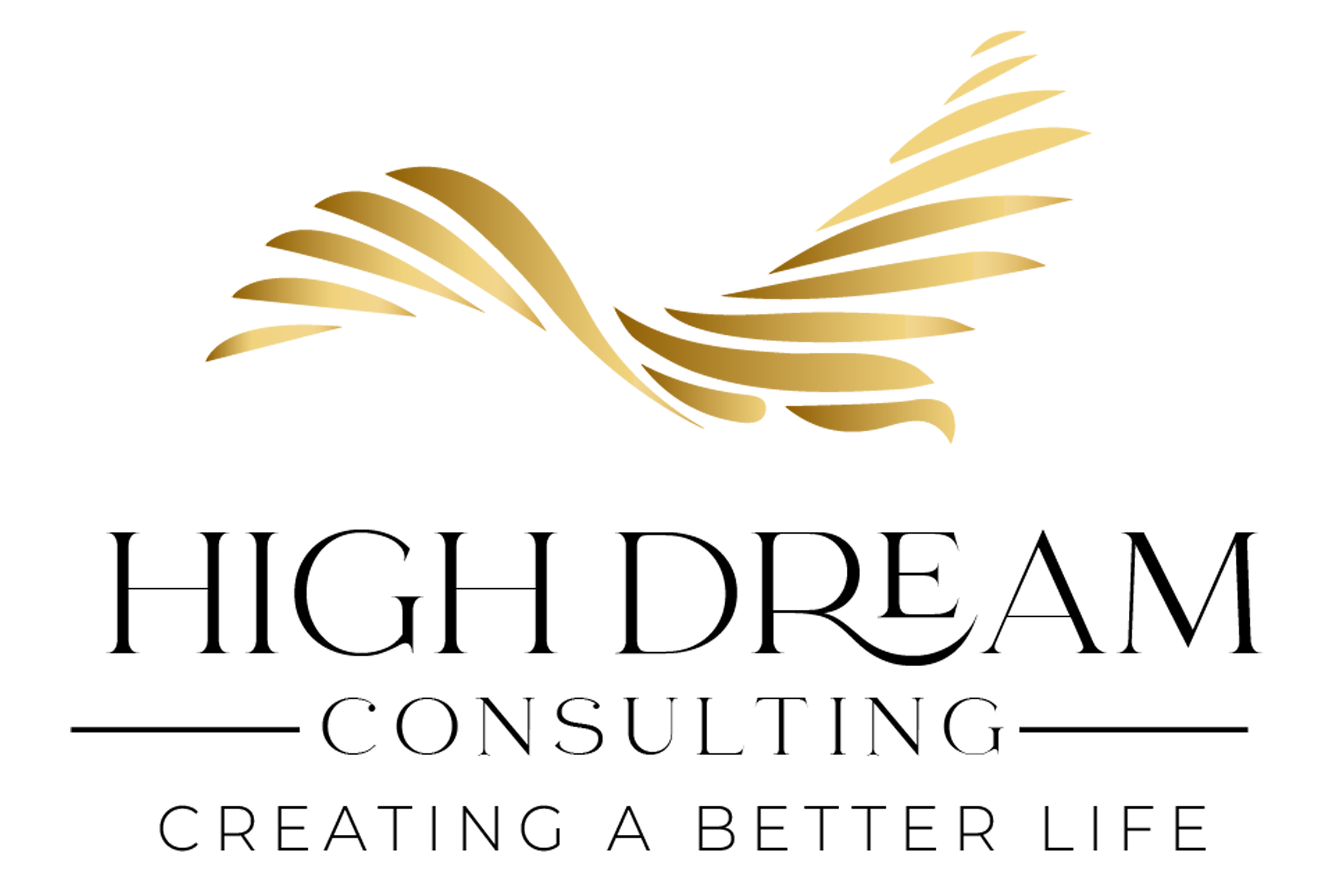 High Dream Consulting | Dream Big, Fly High